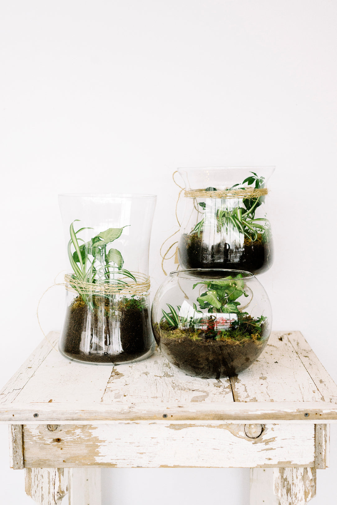 Terrariums – Wright Flower Company