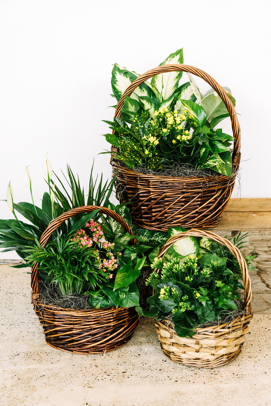 Planters – Wright Flower Company