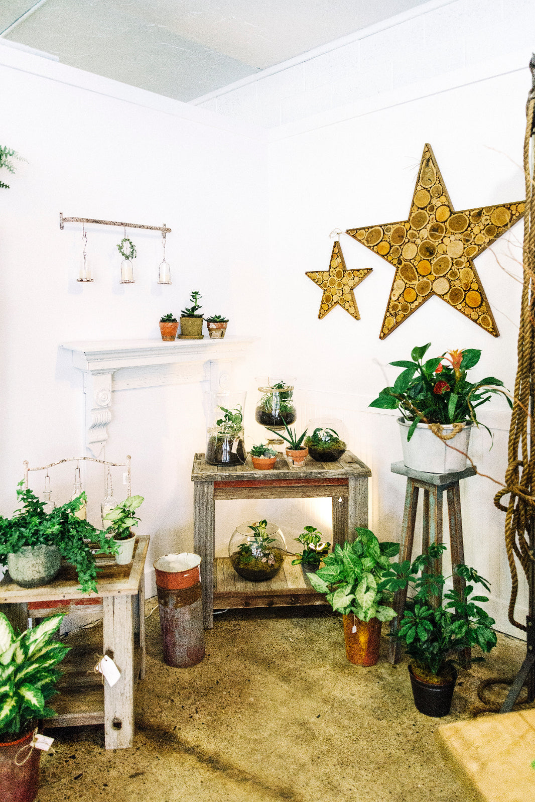 Planters – Wright Flower Company